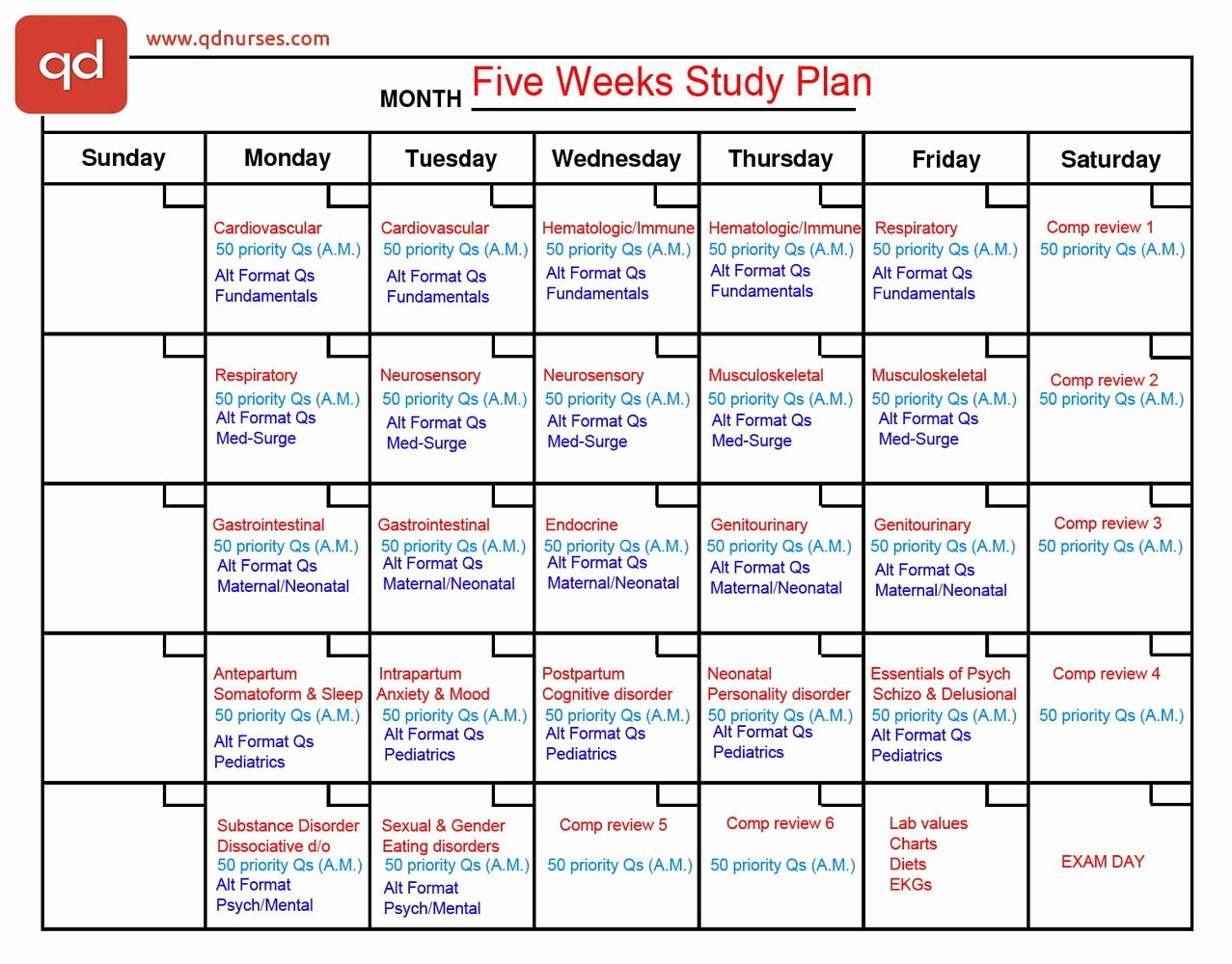 12 Hour Nursing Schedule Template Shooters Journal
