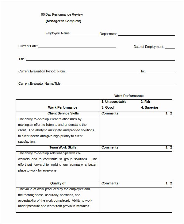 90 Day Performance Review Template