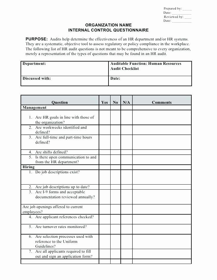 Audit Report Template Excel