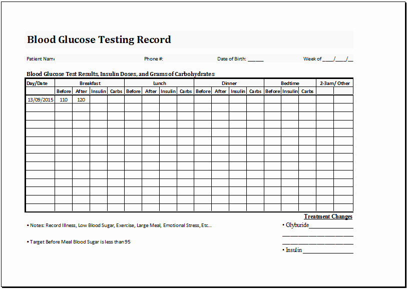 Blood Glucose Log Template Blood Glucose Log Template