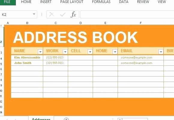 Excel Mailing List Template