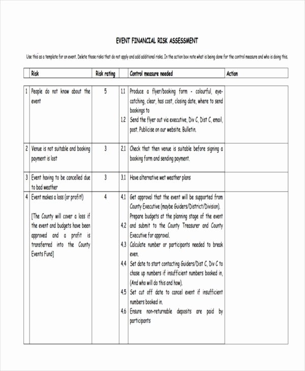 Financial Risk Assessment Template Shooters Journal