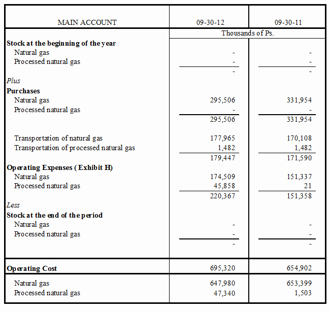 Interim Financial Statement Template